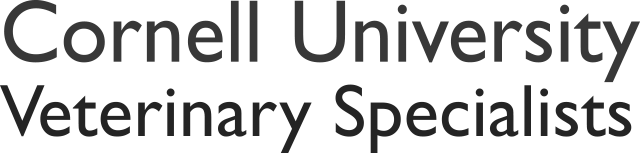 Guide to choosing veterinary practice software for emergency and ...